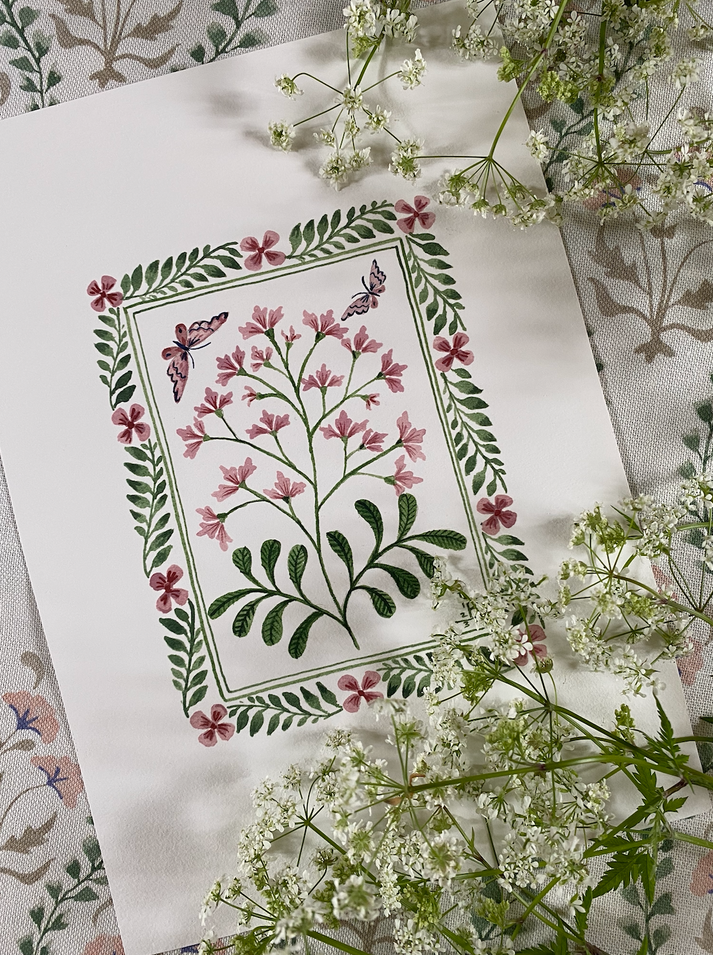 Print - Pink Limonium – Felicity-Buchanan-Designs