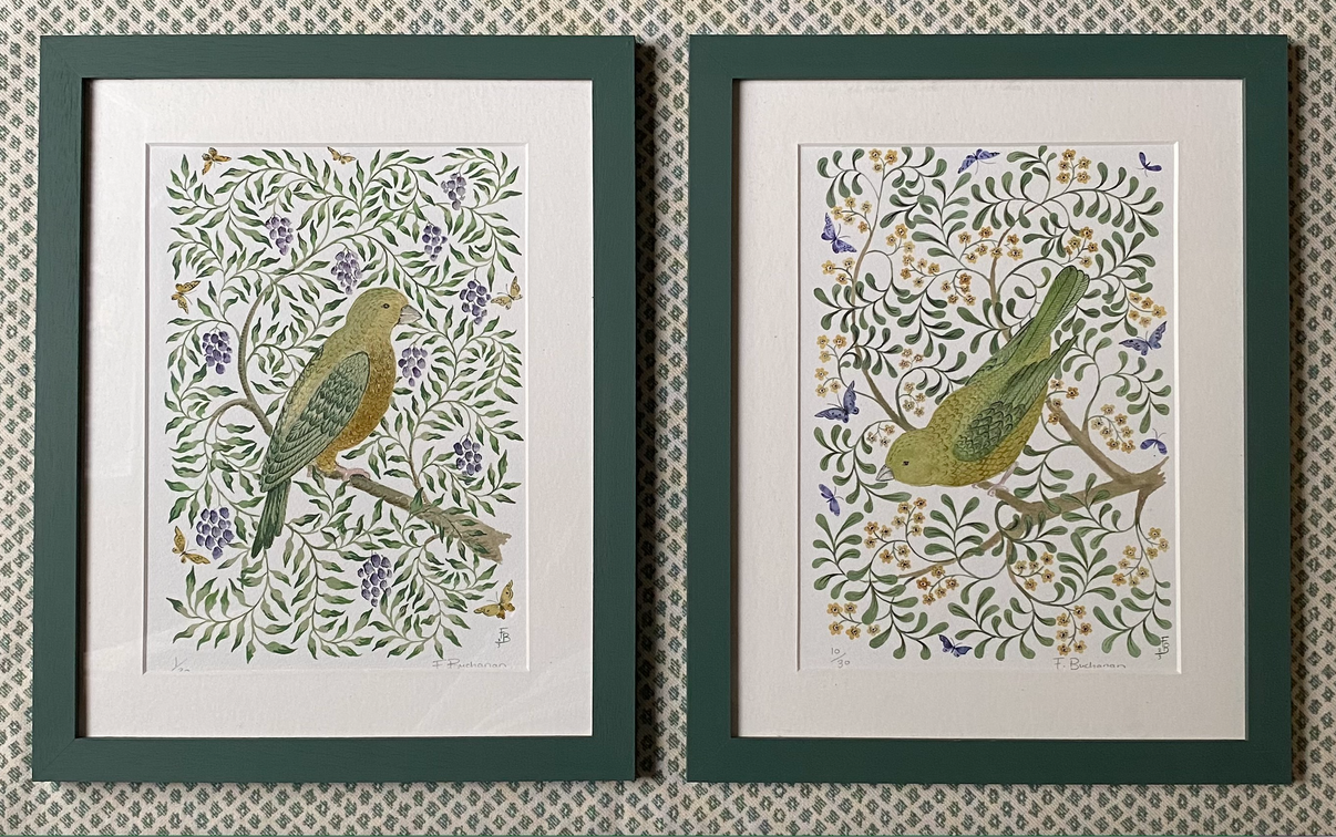 Limited Edition Print - Greenfinch and flowers – Felicity-Buchanan-Designs